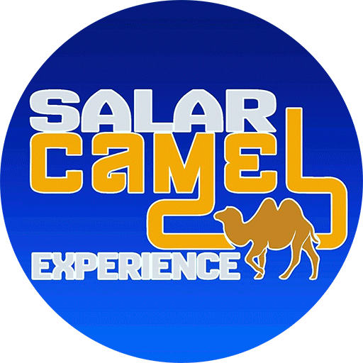 Salar de Uyuni – Salar Camel Experience